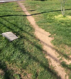 Understanding Soil Compaction – Rutgers Cooperative Extension of Ocean ...